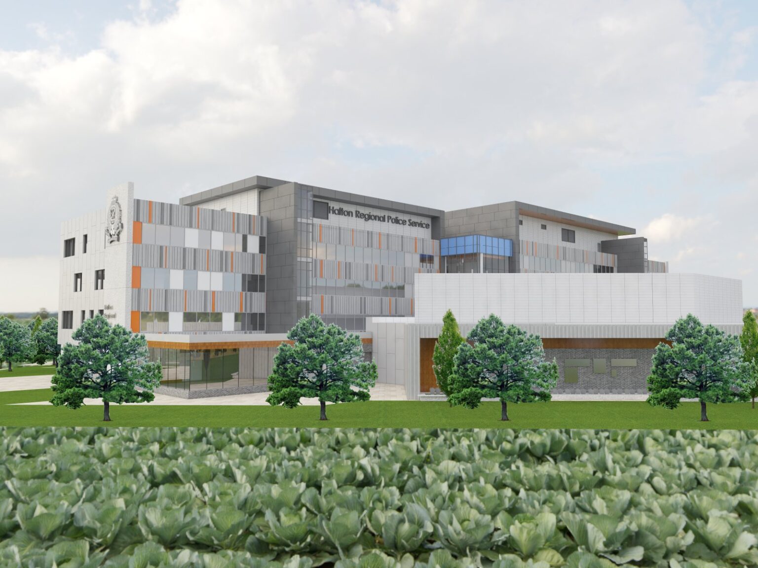 Crossover Distribution: Our Work